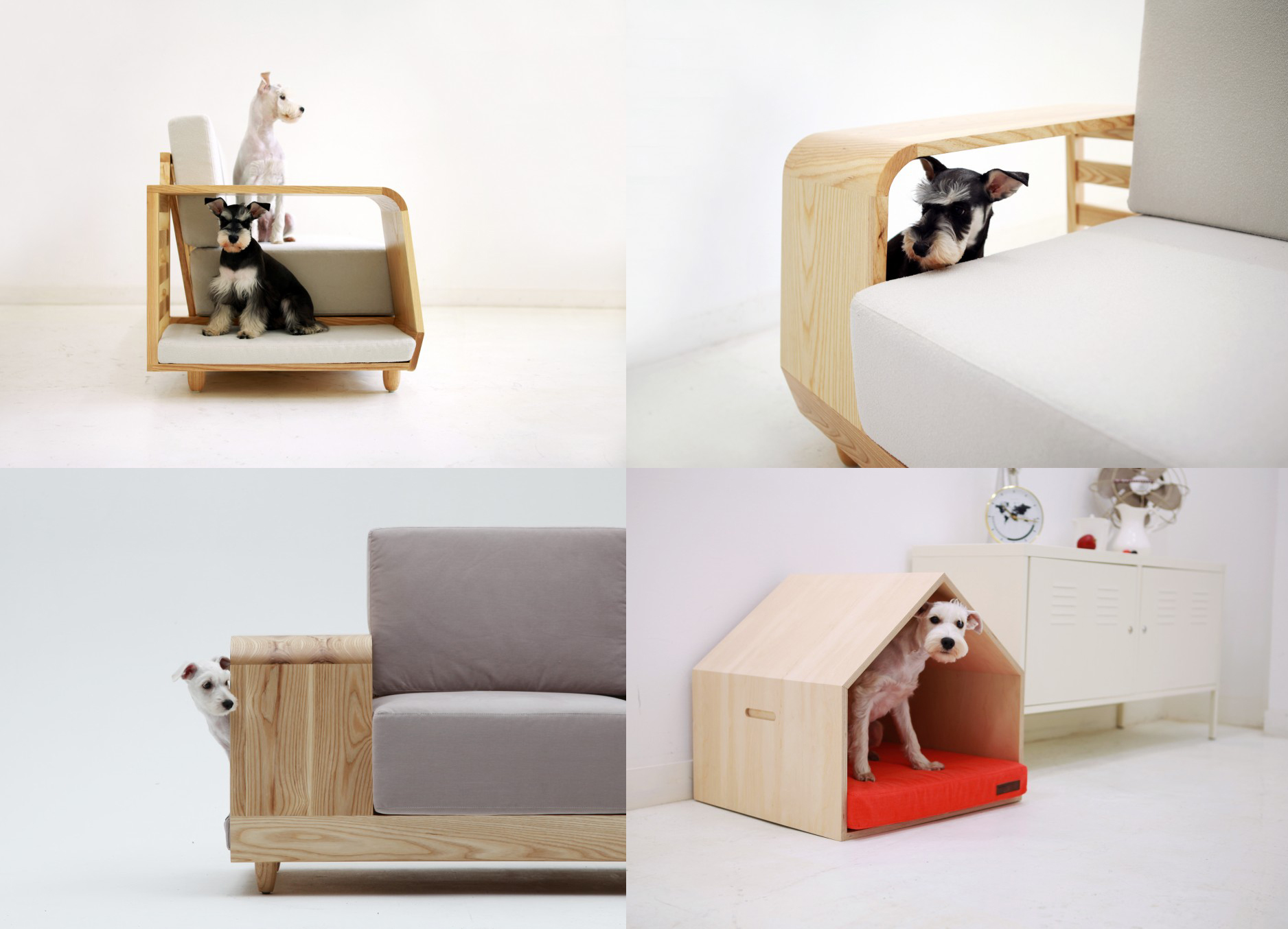 Diseño de interior adaptado a tu mascota. ¡Se lo merece! - Sonia Masip